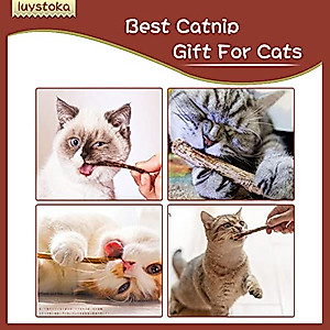 Luystoka [ 30pcs] Silvervine Sticks, Cat Chew Stick, Catnip Toys, Matatabi Sticks for Indoor Cats,Kitty, Wooden Dental Sticks, Kitten Teething Interactive Wand Toys for Cats