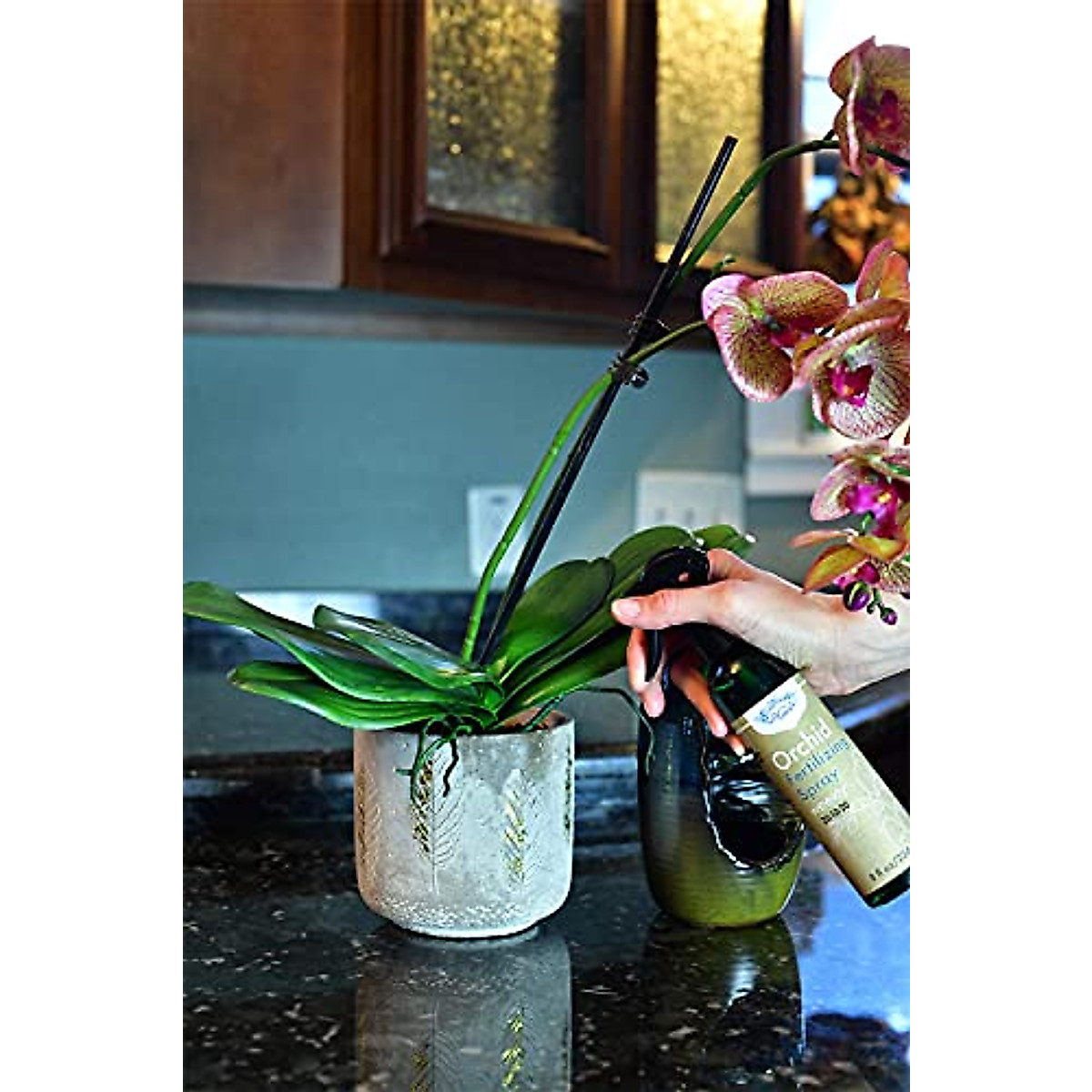 Southside Plants Weekly Orchid Food Fertilizing Spray - Ready to Use Mist Increase Humidity & Nutrients House Plants Farm - Safe Grow Formula for Orchid Leaves, Stems, Roots - 8oz