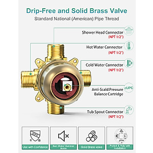 SR SUN RISE Magnetic Shower Faucet Set 8-Spray 2-in-1 Dual Shower Head with Handheld Combo Single-Handle Faucet with Valve and Trim Kit, Brushed Nickel