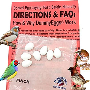 DummyEggs 7 Finch to Stop Laying! 5/8" x 1/2" White Non-Toxic Solid Plastic Realistic Fake Bird Eggs Finches Society, Zebra, Gouldian, Spice Ship Fast Made inUSA