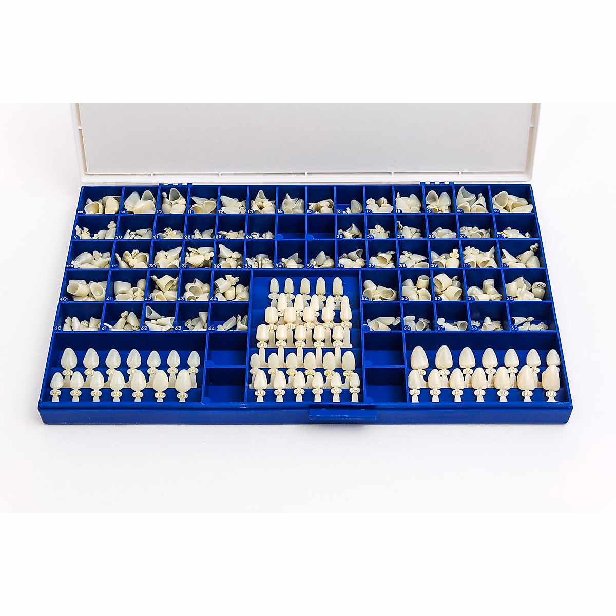 Polycarbonate Temporary Dental Crowns Kit 360 pcs with Crown Mold Guides