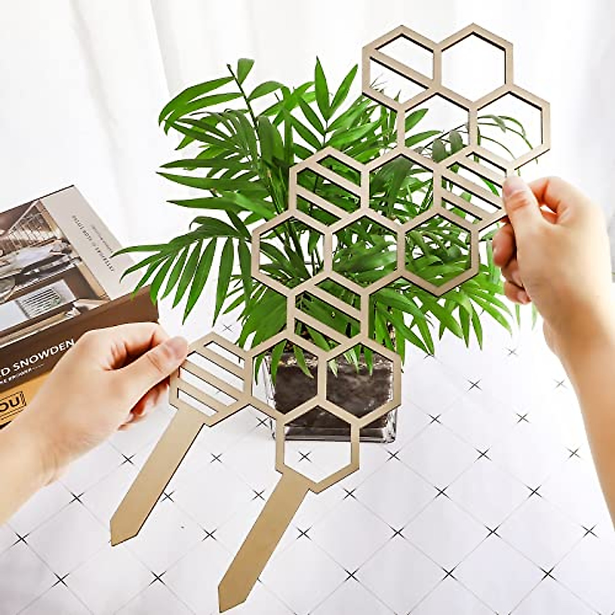 2 Pieces Wooden Small Indoor Trellis Plant Trellis for Climbing Plants Hexagon Trellis for Potted Plants Trellis Vine Supports Garden Trellises with 10 Pieces Black Cable Ties for Plant (Honeycomb)