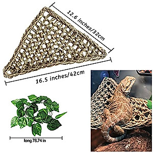 kathson Reptile Habitat Skull Decoration Bearded Dragon Tank Accessories Resin Human Skulls Hide Cave Hanging Vines Plant for Lizards Tortoise Snake Chameleon Spider Reptiles Amphibians(4 PCS)