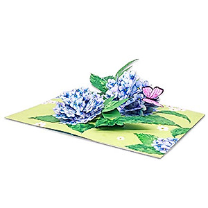 Liif Hydrangea Blossoms Butterfly 3D Greeting Pop Up Mother's Day Card, Spring, Summer, Anniversary, Fathers Day, Get Well, Thinking Of You, All Occasion, Happy Birthday Cards For Mom, Women, Her | With Message Note & Envelop | Large Size 8 x 6 Inch