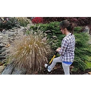 Spear Head Spade Gardening Shovel with Steel Reinforced Fiberglass Handle, Cushioned D-Grip and Sharp Hardened Steel Blade, Award Winning Spade, Model SHFD3 Teal