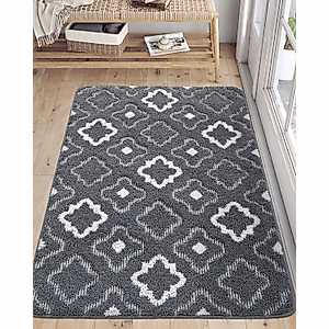 DEXI Door Mats Indoor, Absorbent Non Slip Front Door Rugs for Inside House, Low Profile Easy Clean Entrance Mat, 48"x32", Grey