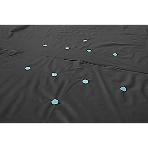 Bestway 58424 Flowclear Swimming Pool Cover, 9ft 10, Black
