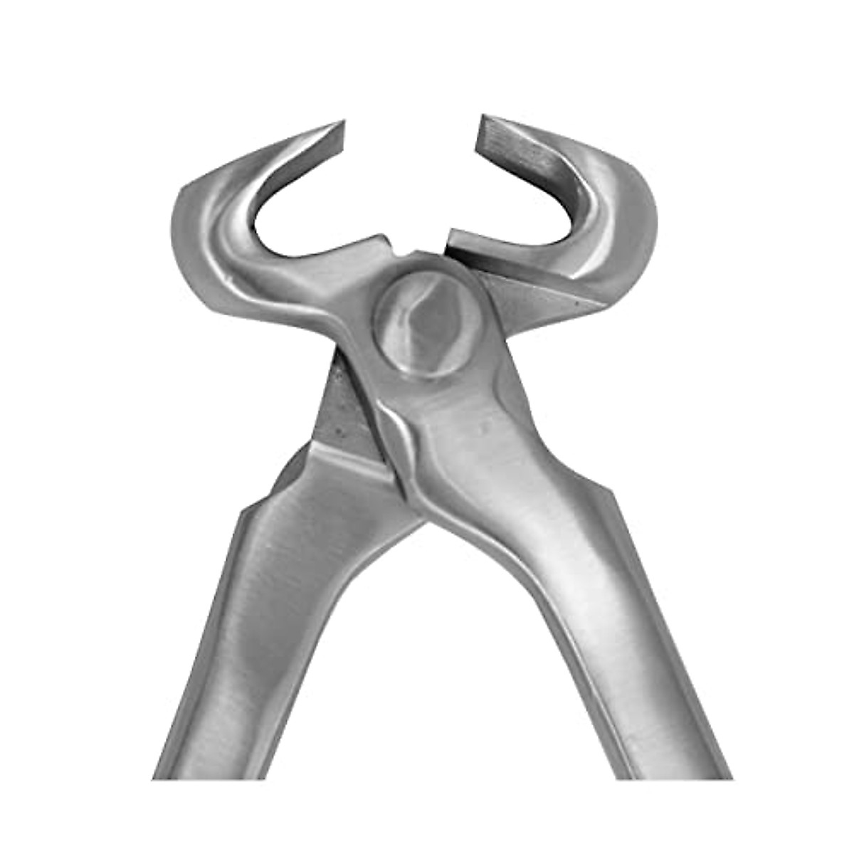 Equinez Tools 14In Race Track Hoof Nipper Vanadium Steel Farrier Tool in Dull Finish