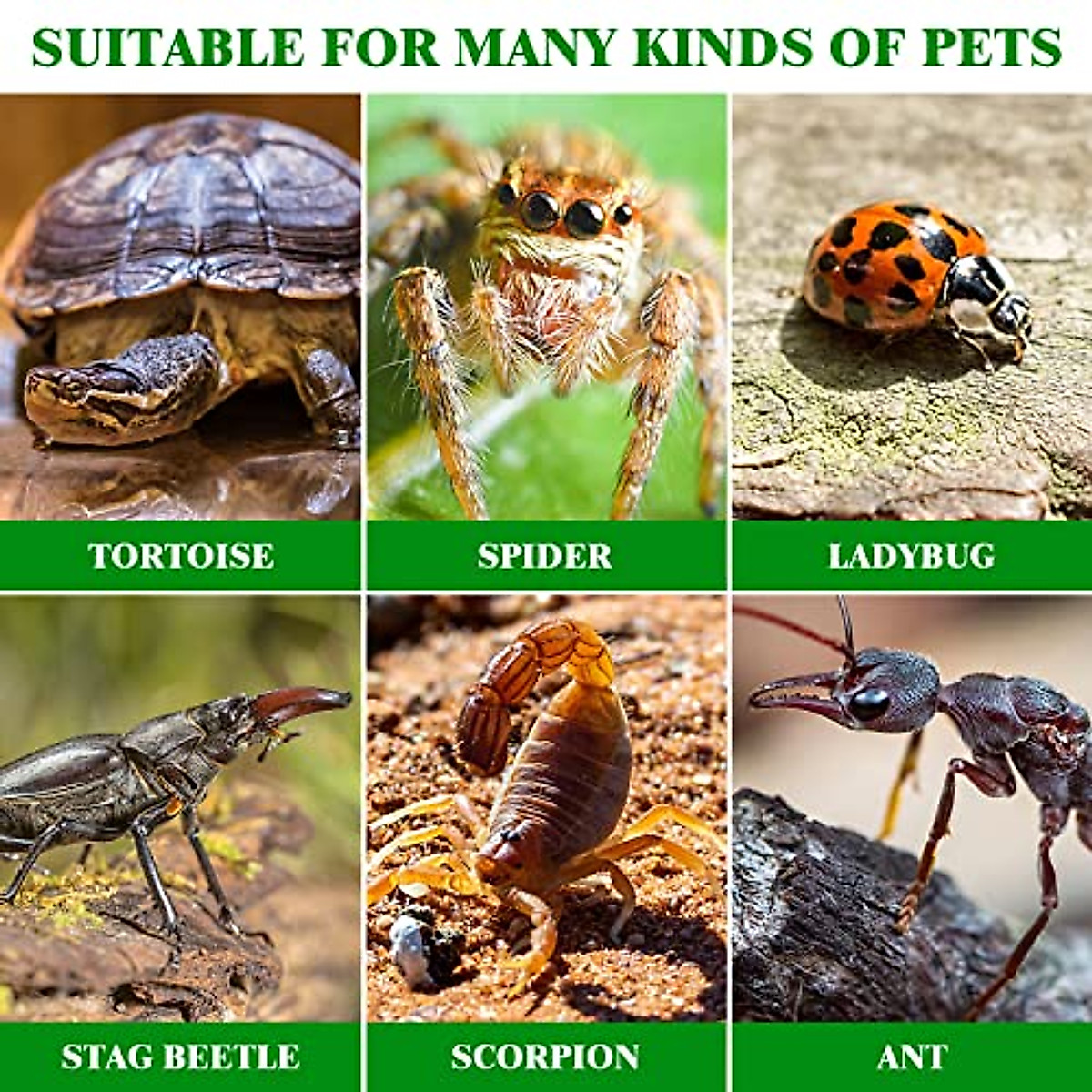 POPETPOP Reptile Breeding Box, Reptile Feeding Container Aquarium Breeding Tank Transparent Reptile Feeding Box Reptile Terrarium Habitat for Snake Turtle Lizards