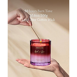 M&SENSE Apple Spice Soy Candles for Home Scented 10.6oz 60 Hour Long Lasting Slow Burning, Organic Natural Christmas Candle Highly Scented Winter Holiday Fragrance Gift for Women Men