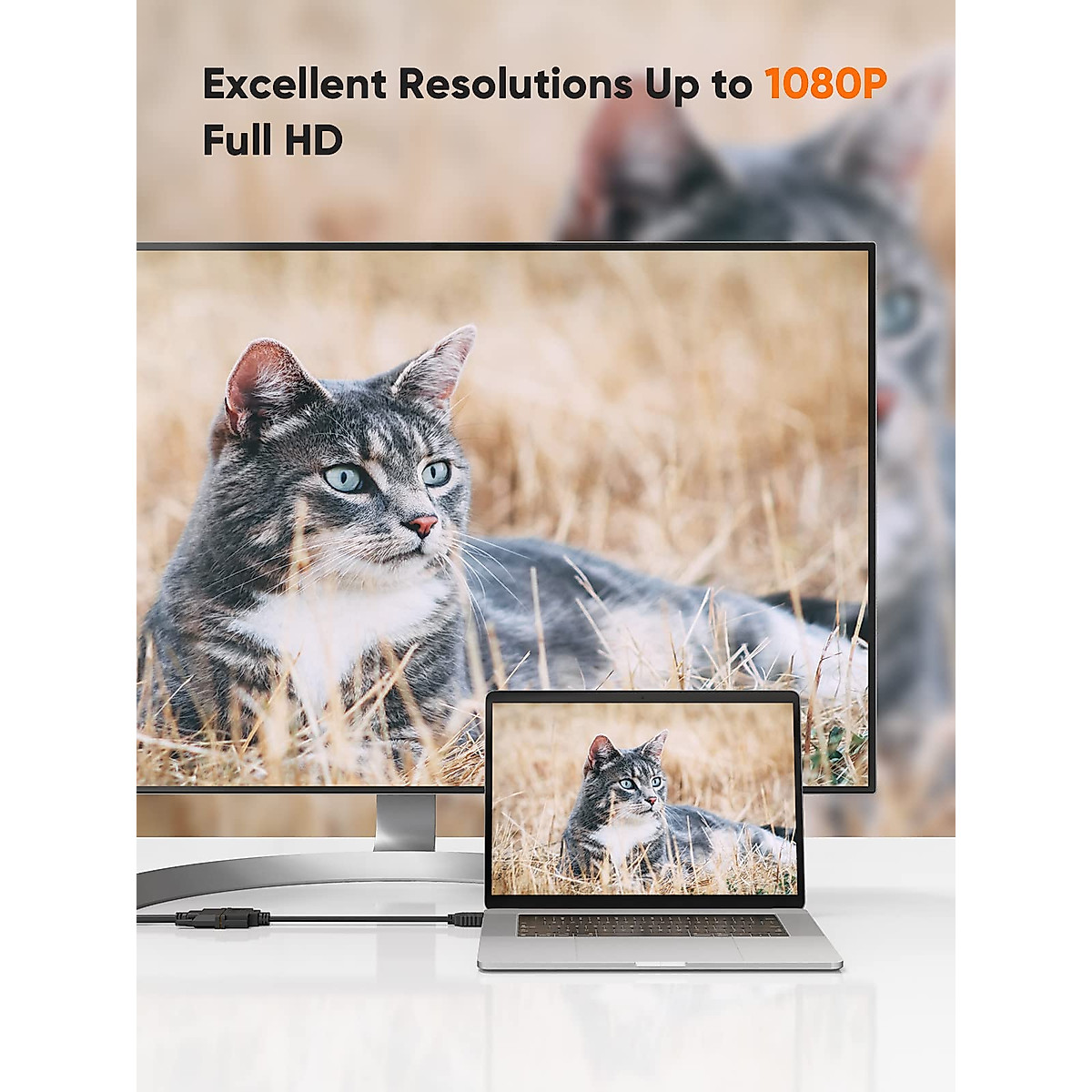 CableCreation HDMI to DVI Short Cable 0.5ft, Bi-Directional DVI-I (24+5) Female to HDMI Male Adapter 1080P DVI to HDMI Converter Compatible with Xbox, PC, TV Box, PS5, Blue-ray, Switch