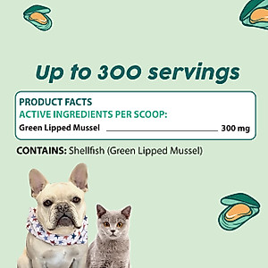 Benji & Louie Green Lipped Mussels Powder for Dogs and Cats 3.17 oz (90g) - 300 Servings - Sourced from USA - Rich in Omega-3 Fatty Acids for Joint, Skin & Coat Health, Made in USA