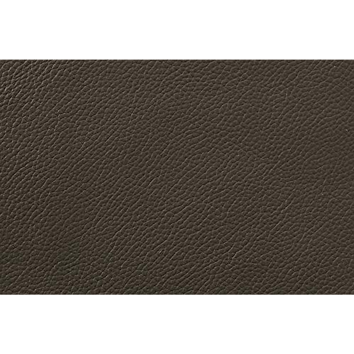 Homelegance Olympia Modern Design Power Reclining Sofa Top Grain Genuine Leather Match, Raisin