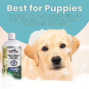 Puppy Shampoo for Puppies 8 Weeks Old and Conditioner with Aloe & Oatmeal for for Small Dogs to Large with Dry Itchy Sensitive Skin Dog Wash Itch Relief Hypoallergenic Puppy Wash Bathing Supplies