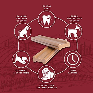 Real Tuff | Chew Toy for Large Dogs | Long Lasting for Aggressive Chewers | Chicken Flavor | 1 Count
