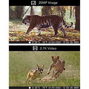 ZETHUS 2.7K 20MP Trail Camera, Game Camera with Night Vision 0.2s Trigger Time 120° 100ft Motion Activated, IP66 Waterproof Hunting Camera 2.8”LCD Screen and Rechargeable Power for Wildlife Monitoring