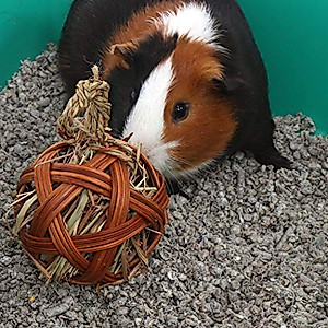 Ware Manufacturing Willow Edible Small Pet Ball Chew Treat, 4-Inch