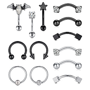Anicina 16G Eyebrow Rook Curved Barbell Piercing Jewelry Surgical Steel Rings Rook Earrings for Women Horseshoe Rook Eyebrow Septum Piercing Hoop Silver Black