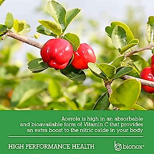 Arugula Super Cardio Greens Natural Preworkout, Cardio Support with 33 Superfoods Barley Grass, Broccoli, Moringa, Beets, Prebiotics, Probiotics, Spirulina, Powder Drink Mix, Berry 30 Days