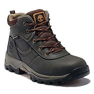 Timberland baby boys Youth Mt. Maddsen Timberdry Waterproof Hiking Boot, Dk Brown Full Grain, 3 Little Kid US