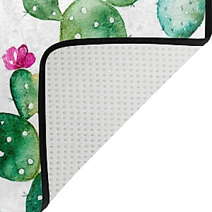ZOEO Cactus Bath Runner Rug Green Succulents Plants Floral Flower Non Slip Area Mat Rugs for Bathroom Kitchen Indoor Carpet Doormat Floor Dirt Trapper Mats Shoes Scraper 39"x 20" (24x 16in)
