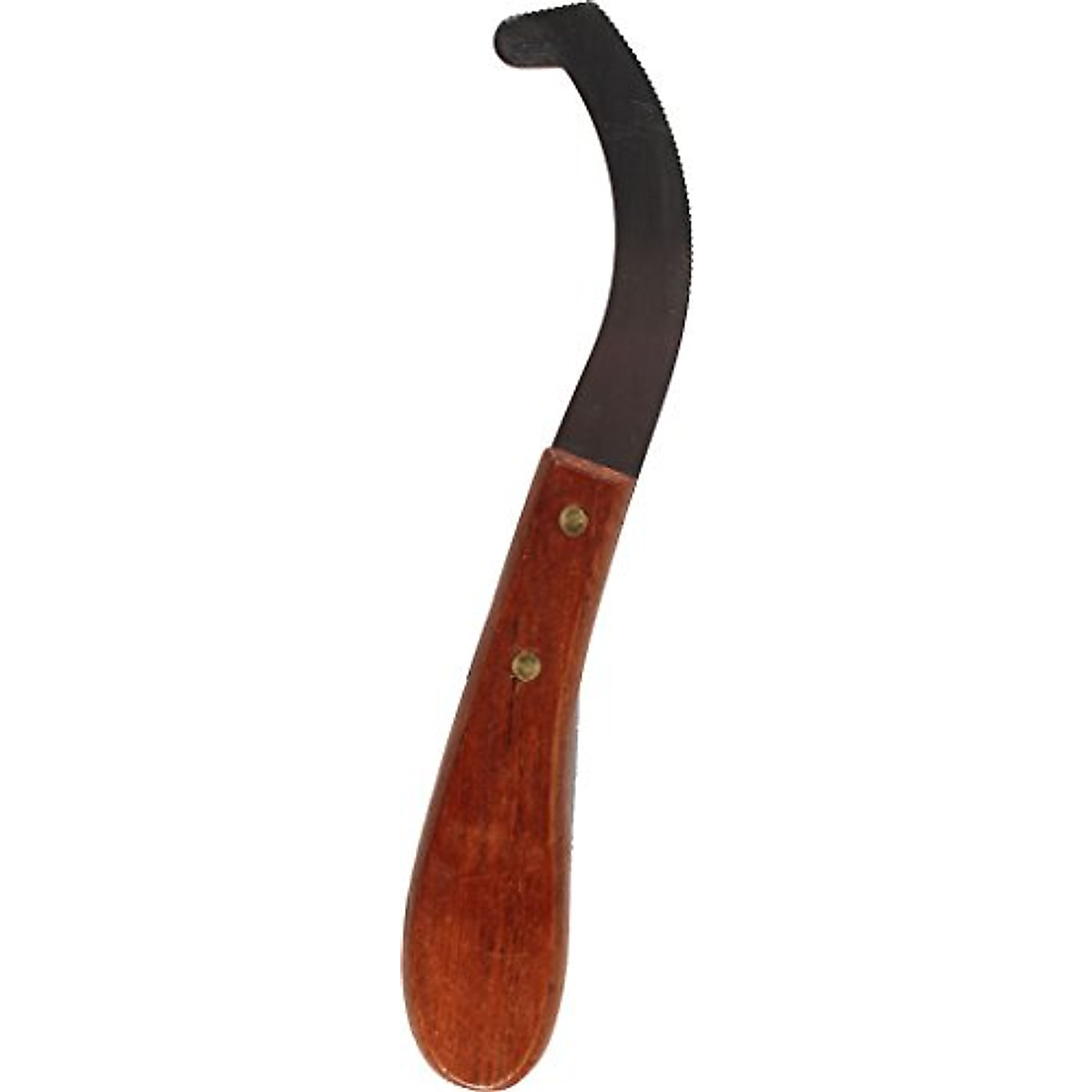 Partrade 244500E924 Stainless Steel Bot Egg Scraper, 9"