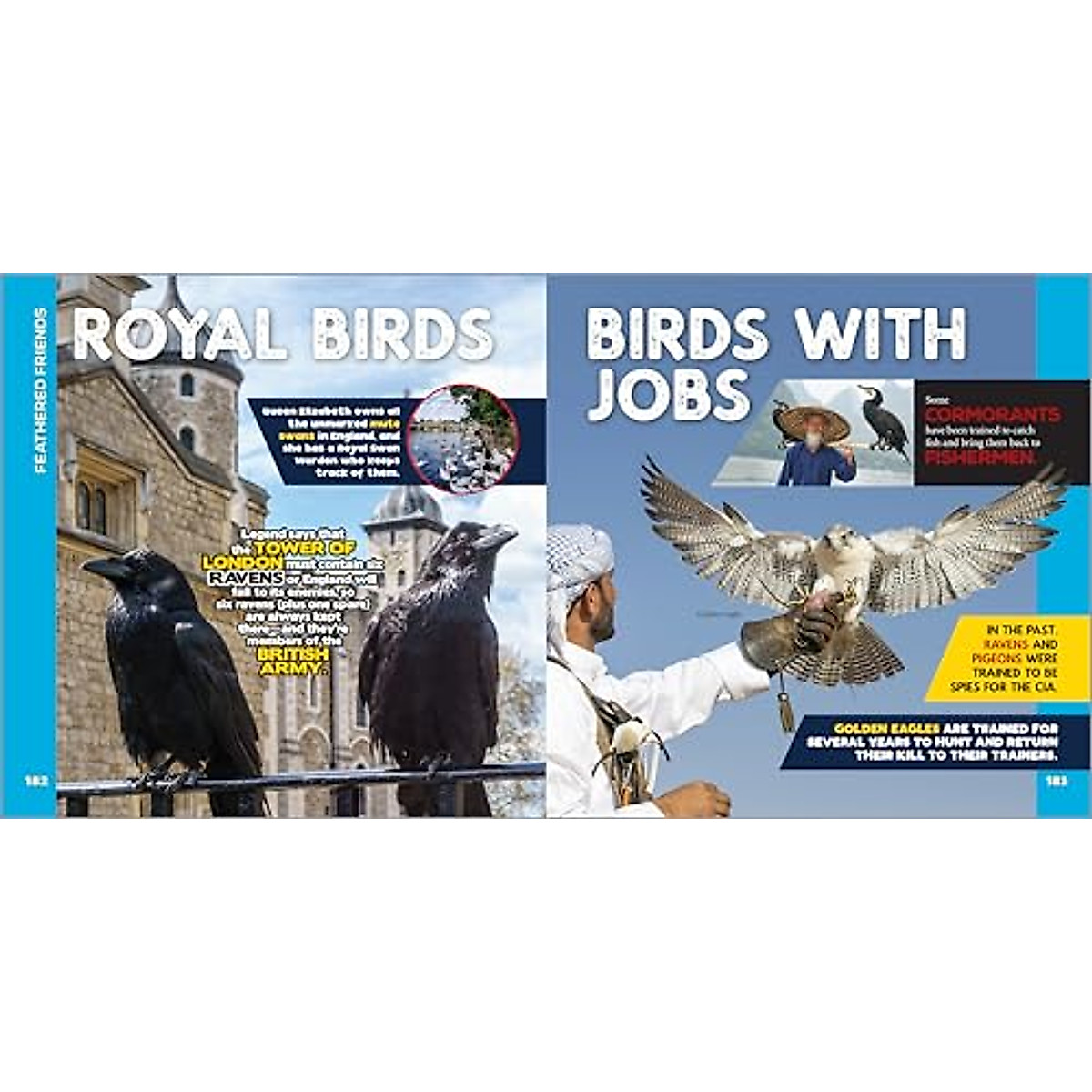 The Fascinating Animal Book for Kids: 500 Wild Facts! (Fascinating Facts)