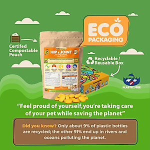 Joint Supplement for Dogs | 90 Turmeric for Dogs Chews Plus Fish Oil, Glucosamine for Dogs Chondroitin, MSM + Vitamin C for Dogs | Dog Hip and Joint Supplement Dogs Mobility Support & Dog Pain Relief