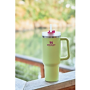 STANLEY Stanley 40oz Adventure Quencher Reusable Insulated Stainless Steel Tumbler (CITRON MIX)