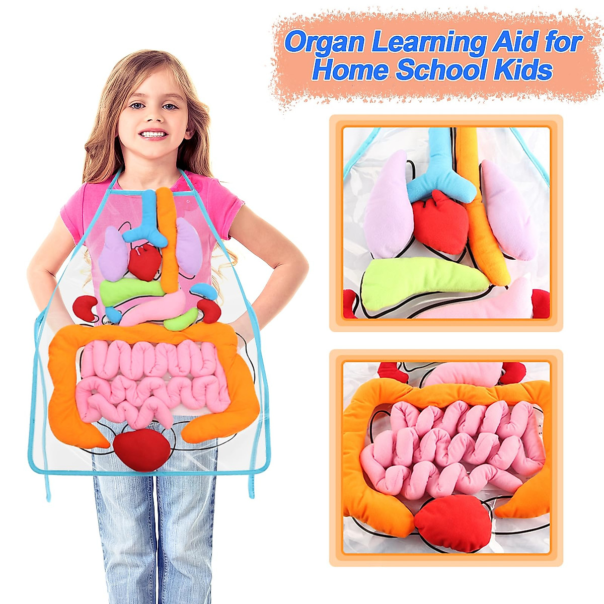 KAKIBLIN 3D Organ Apron,(Upgrade Version) Anatomy Apron Human Body Organs Awareness Educational Toy for Home Preschool Teaching Aid, Transparent