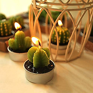 Outee 12 Pcs Cactus Tealight Candles Handmade Delicate Succulent Candle Cactus Candles Smokeless Aromatherapy Mini Candles Tea Lights 12 Styles for Home Décor Birthday Gift Party Wedding SPA