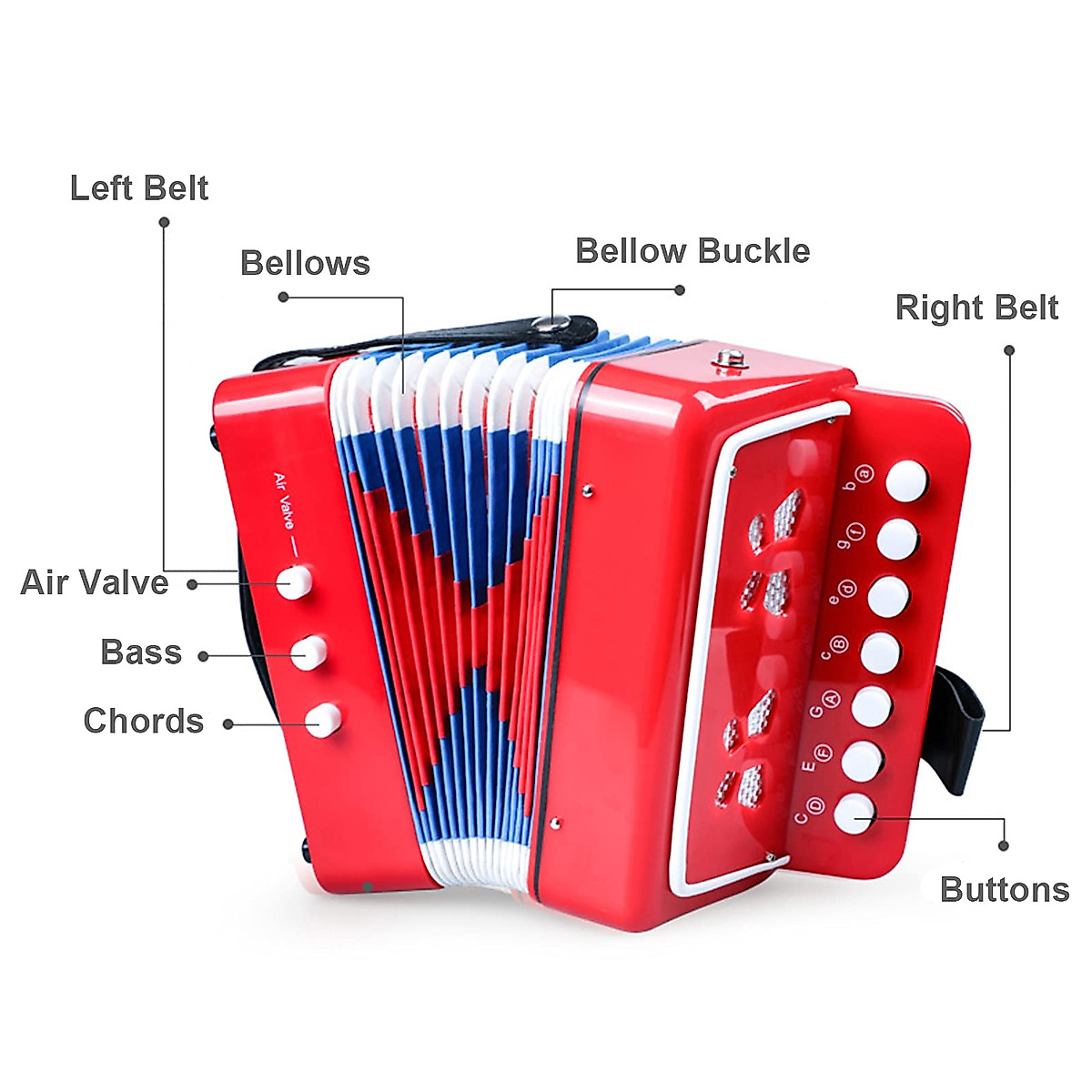 Tosnail Kids Accordion Toy 10 Keys Buttons Control Mini Musical Instruments for Children, Kids, Toddlers, Early Childhood Development - Red