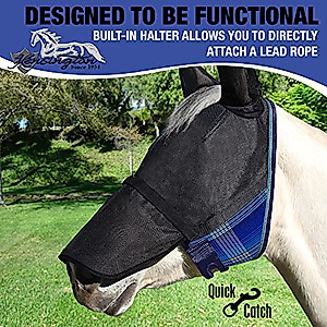 Kensington UViator CatchMask w/Ears & Removable Nose & Forelock Opening, Large, Kentucky Blue