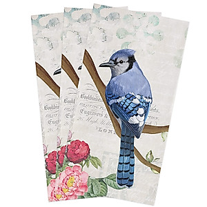 BEKYONEE Kitchen Dish Towels,3 Pack Vintage Blue Jay Birds Boho Flower and Branch Hand Towel Absorbent Dish Cloth Microfiber Terry Cloths Tea Towel for Dishes Counter/Bar Retro Letters Kraft Paper