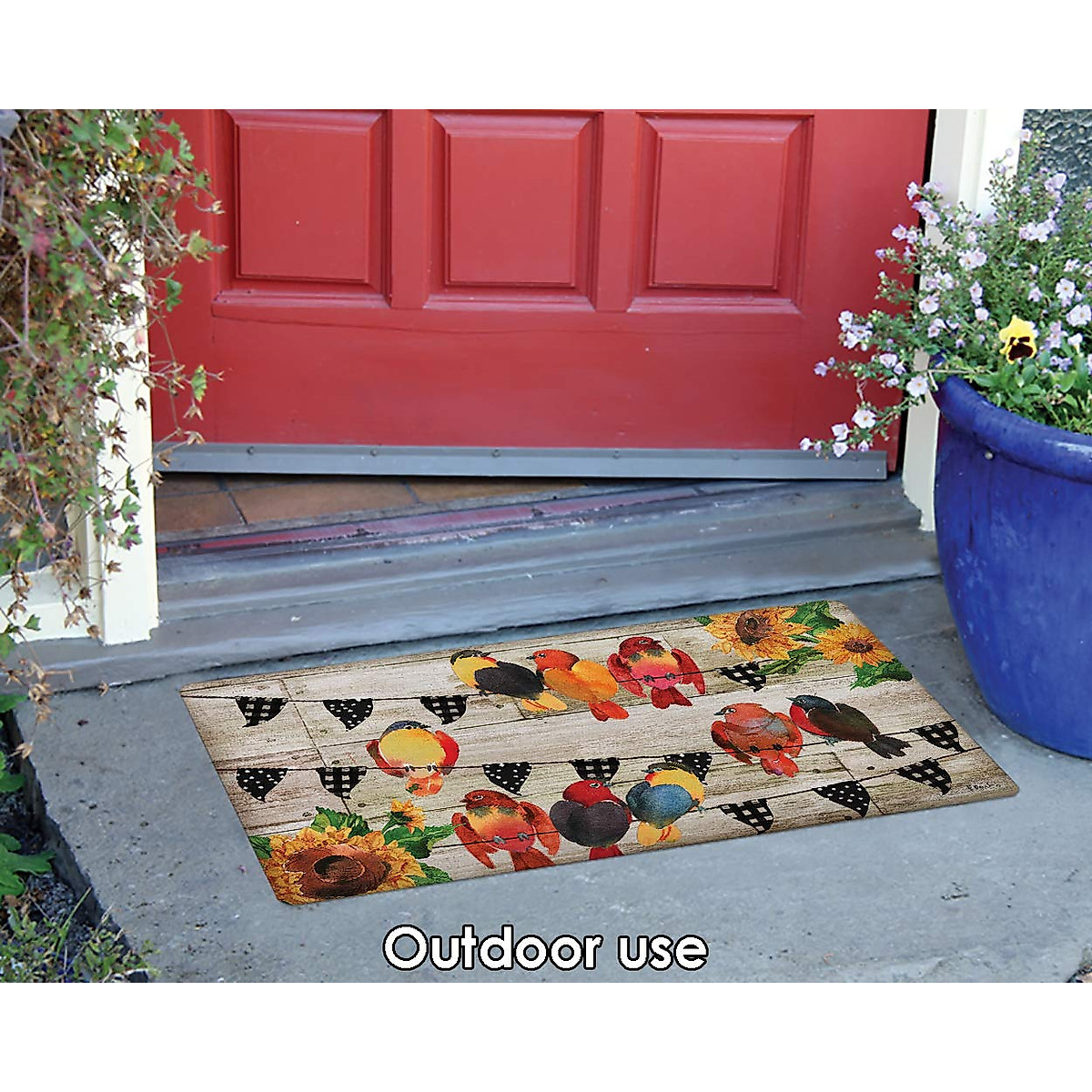 Toland Home Garden 800486 Farmhouse Birds Fall Door Mat 18x30 Inch Summer Outdoor Doormat for Entryway Indoor Entrance