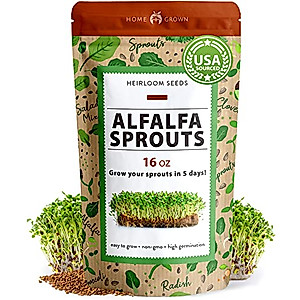 Alfalfa Sprout Seeds for Sprouting and Microgreens (16oz) Premium USA Alfalfa Seeds Indoor or Outdoor Planting Sprouts | Non-GMO | Micro Greens Seed in Resealable Bag