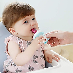 Baby Food Feeder Fruit Feeder Pacifier (2 Pack) - Silicone Fresh Food Feeder with 6 Replaceable Silicone Teething Pacifiers, Infant Teething Toy Teether, Ideal Teething & First Baby Feeding by MICHEF