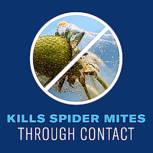 BioAdvanced Organics Brand Tomato, Vegetable & Fruit, Ready-to-Use, 24 oz