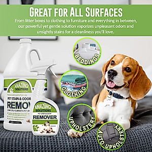 Amaziing Solutions 2-Pack Pet Stain and Odor Remover Enzyme Cleaner, Pet Urine Odor Eliminator Spray w/Gallon Refill - All Purpose Cleaner to Eliminate Pet Odor for Carpet and Hardwood Floors