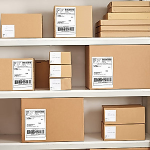 FungLam 2 Rolls 4x6 Direct Thermal Shipping Labels, 250 Labels/Roll, 1'' Core, Compatible Zebra 2844 ZP-450 ZP-500 ZP-505