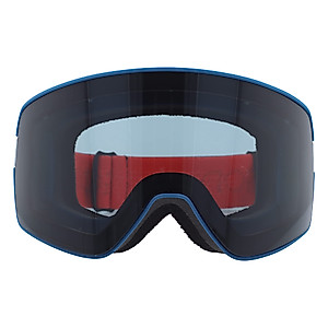 Dragon NFX2 Two Lumalens Snow Goggles Danny Davis Smoke Rose