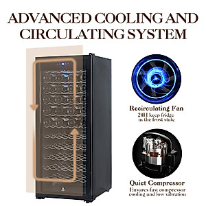 Acekool 80 Bottle Wine Cooler Refrigerator with Stainless Steel & Tempered Glass, Intelligent Digital Control Wine Fridge, Freestanding Built-in Wine Cooler for Red White Wine, Champagne, Beer