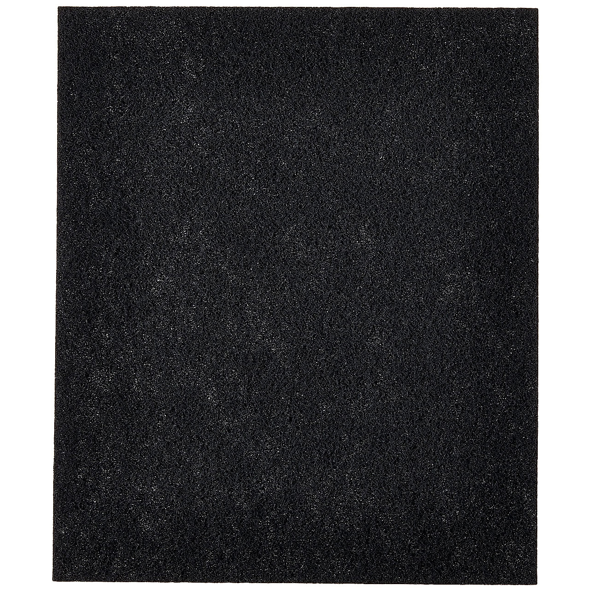 Genuine Winix 113050 Replacement Filter C for P150 Air Purifier, White