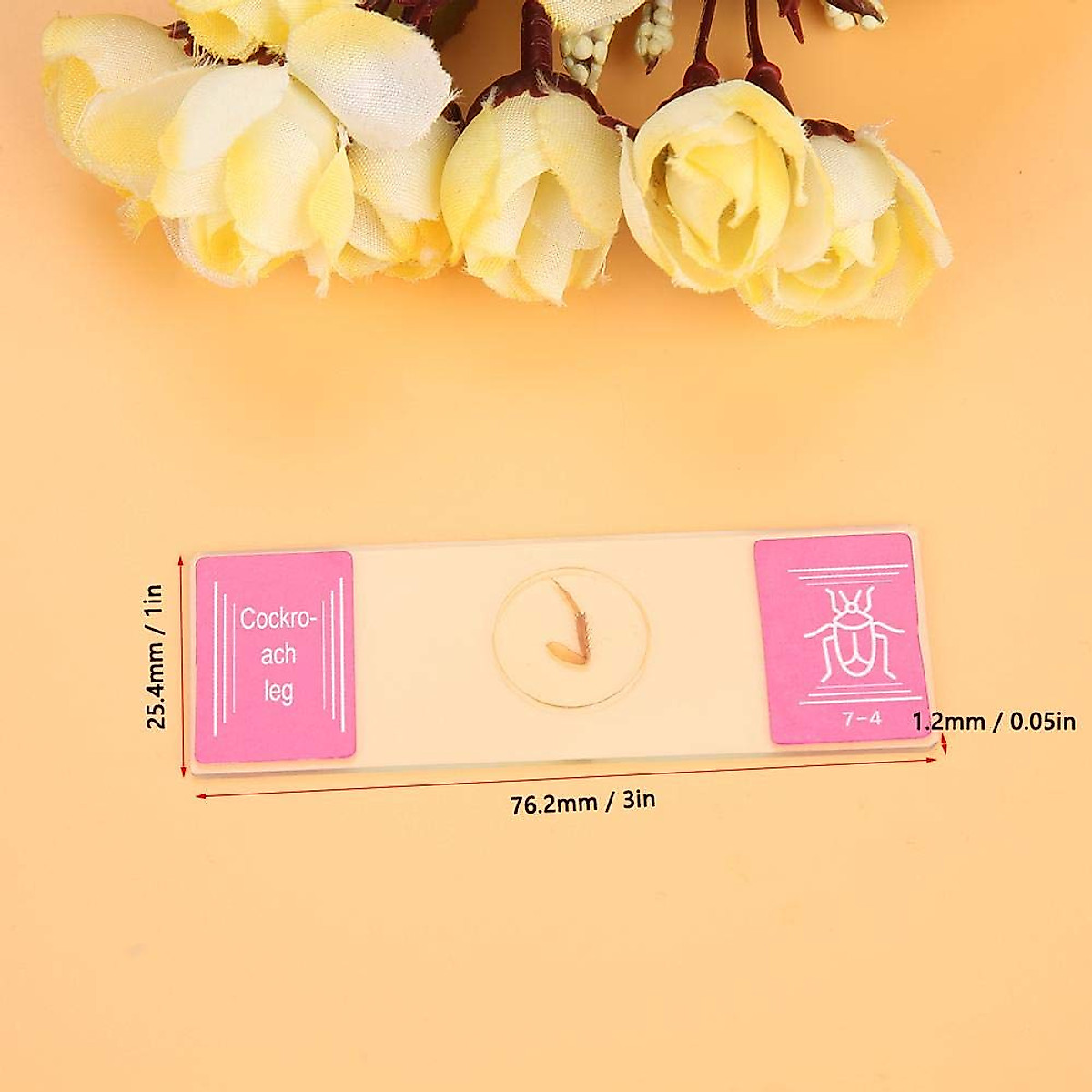 Hilitand 35pcs Biology Microscope Slide Glass Biological Prepared Slide Seven Type Biology Slide Lab Specimens Set