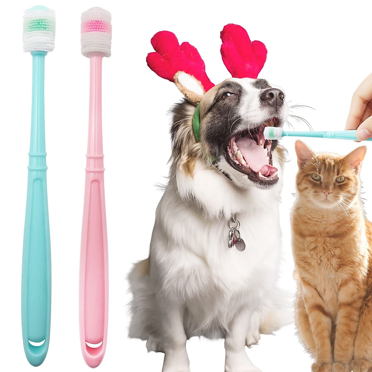 BLMHTWO 2 Pieces Cat Toothbrush, Small Dog Toothbrush 360-Degree Dog Toothbrush Small with Independent Transparent Packaging Box and PP Handle Silicone Dog Toothbrush for Small Dogs (Green and Pink)