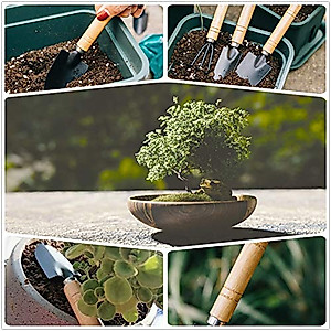 Bonsai Tool Kit, Bonsai Tree Kit Succulent Gardening Tools Set of 8 pcs Includes Pruning Shears, Mini Rake, Fold Scissors and More