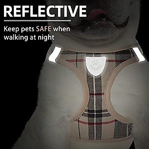 PUPTECK Adjustable Dog Harness Collar and Leash Set Step in No Pull Pet Harness for Small Medium Dogs Puppy and Cats Outdoor Walking Running, Soft Mesh Padded Reflective Vest Harnesses, Beige XXS