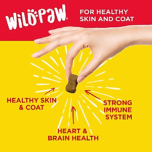 Wildpaw WonderBites for Healthy Skin and Coat - Skin & Coat Health Supplement for Dogs - Salmon Fish Oil Supplement - Hemp Chews for Dogs with Zinc - 90 Soft Chews