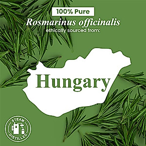 Rosemary Essential Oil - Huge 4 Fl Oz - 100% Pure and Natural - Premium Grade Essential Oil for Diffuser and Aromatherapy