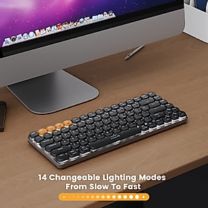 ProtoArc MECH K301 Office Keyboard - 75% Tactile Quiet Keyboard with Backlit, Triple-Mode 2.4G/USB-C/Bluetooth, Red Switches for PC, Mac, Windows, iPad - 84 Keys